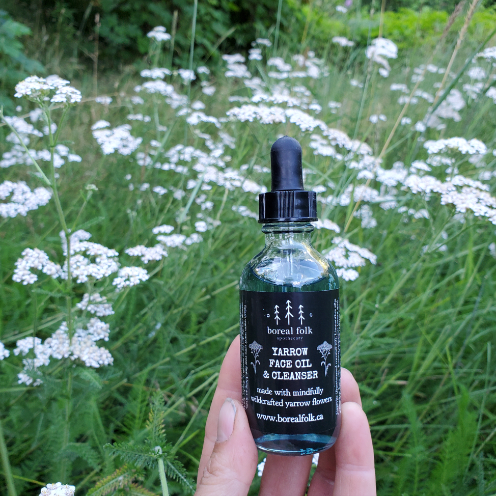 Yarrow Face Oil & Cleanser – Boreal Folk