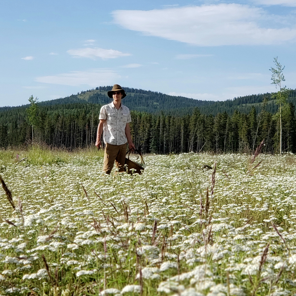 Yarrow Face Oil & Cleanser – Boreal Folk