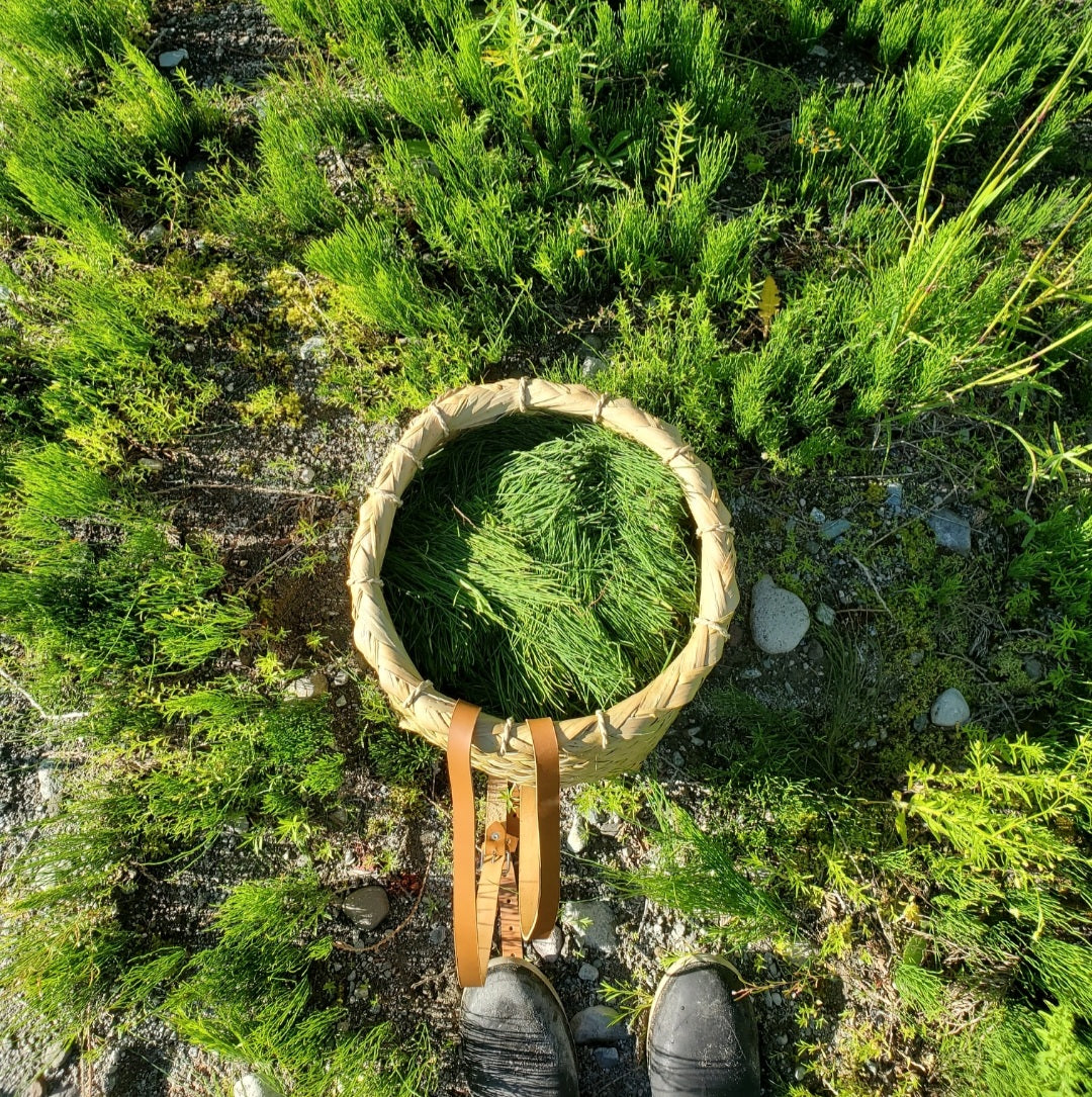 Horsetail Shampoo Bar – Boreal Folk